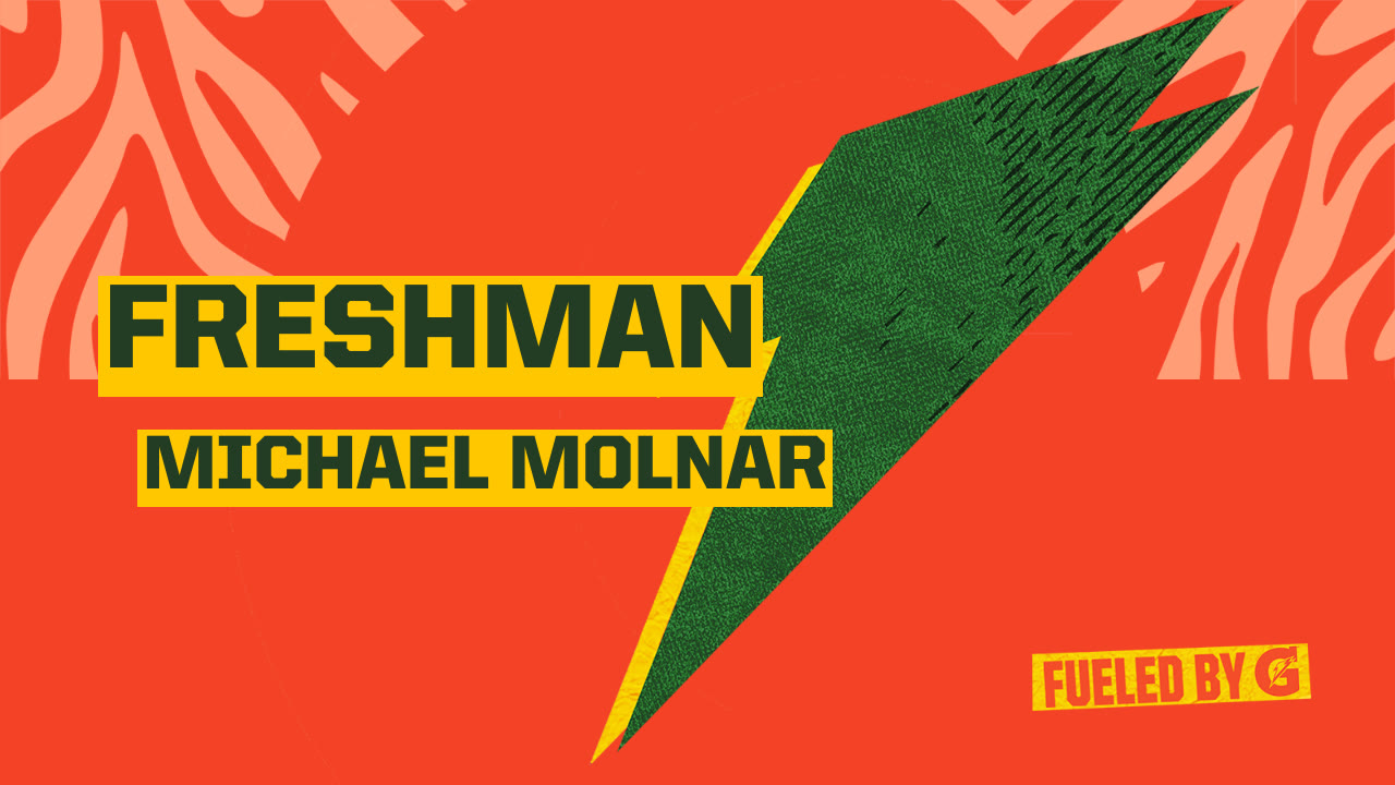 Freshman - Michael Molnar highlights - Hudl